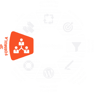 3P Formula – Sales Driven Website